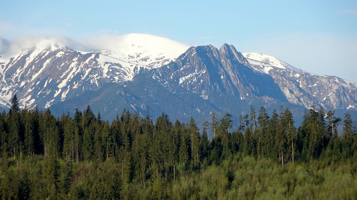 Snow-capped Tatra Mountains and lush forest in Zakopane Poland